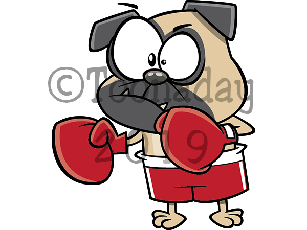 Pugnacious - Toonaday