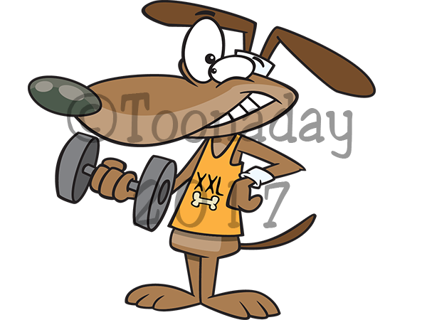 DogWeights - Toonaday DogWeights