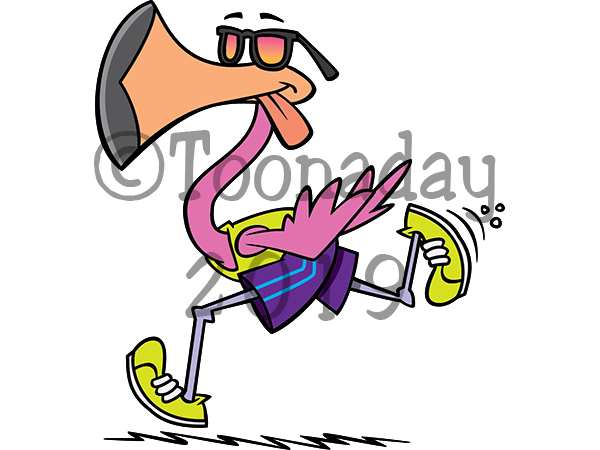 FlamingoRun - Toonaday FlamingoRun