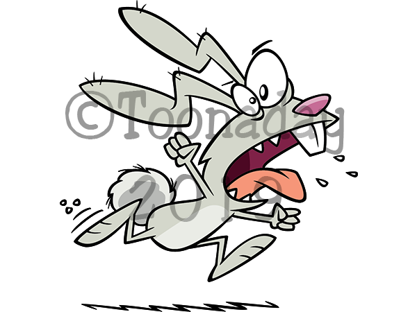 RagingRabbit - Toonaday RagingRabbit